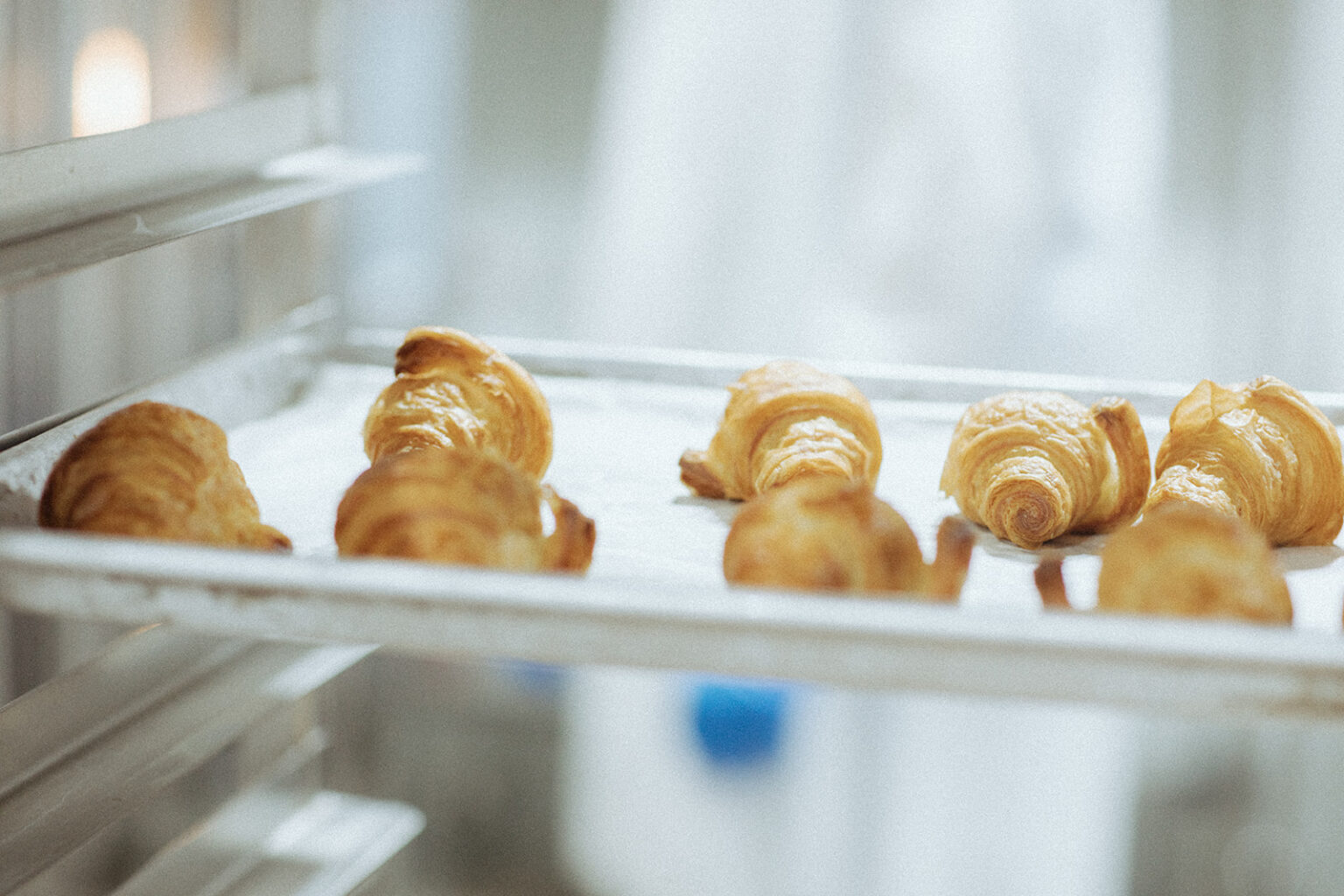 The Dutchland Story | dutchlandfoods.com